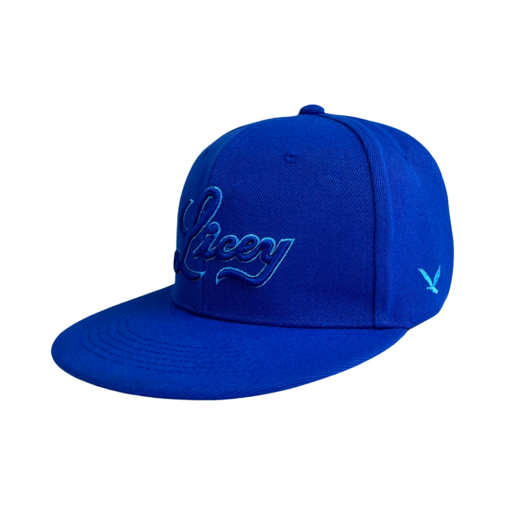 Home Run Style: Shop the Finest licey Baseball Hats Gorra for Every ...